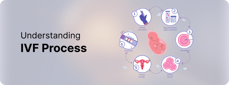 Understanding IVF Process
